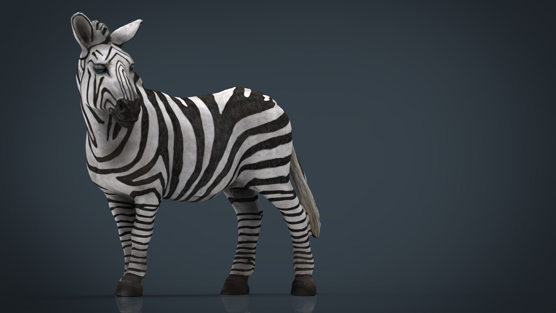 3D Zebra Stl 3mf Model | 1143153 | TurboSquid