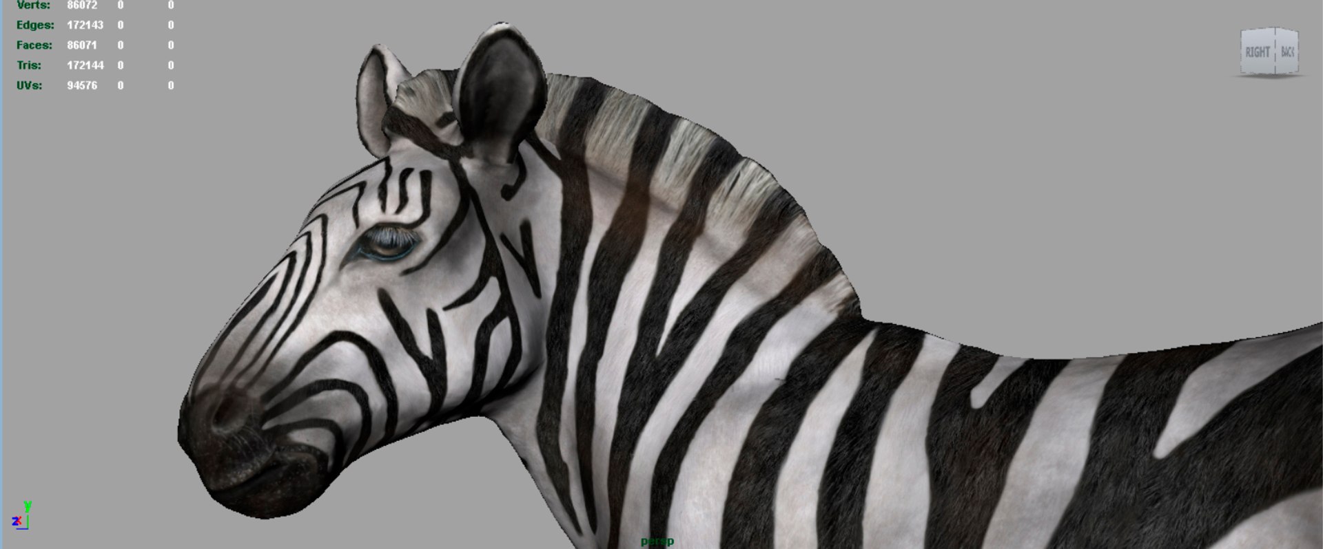 3D Zebra Stl 3mf Model | 1143153 | TurboSquid