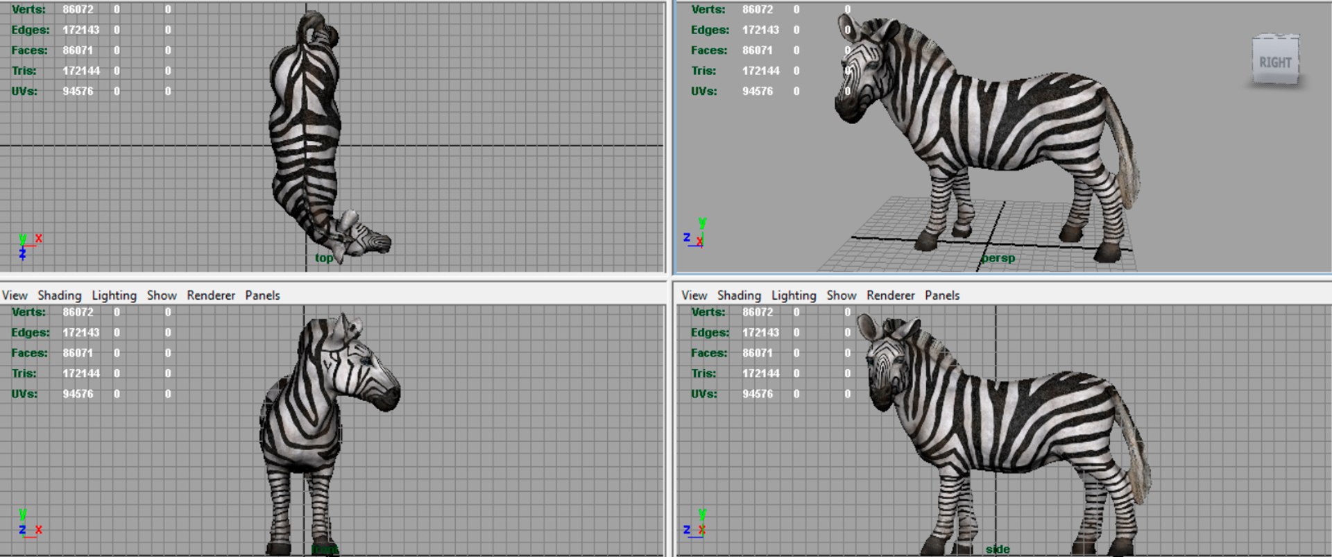 3D Zebra Stl 3mf Model | 1143153 | TurboSquid