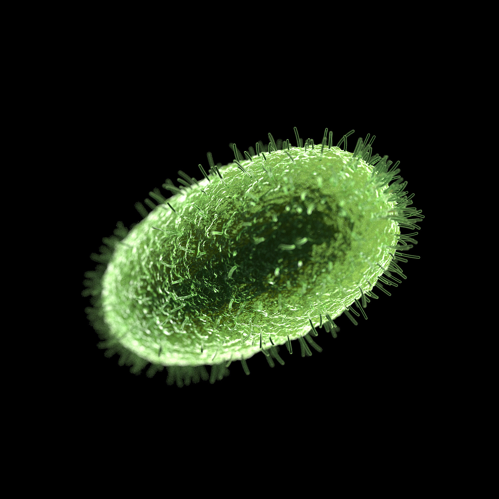 modèle 3D de Microbes - Collection de 75 micro-organismes - TurboSquid ...