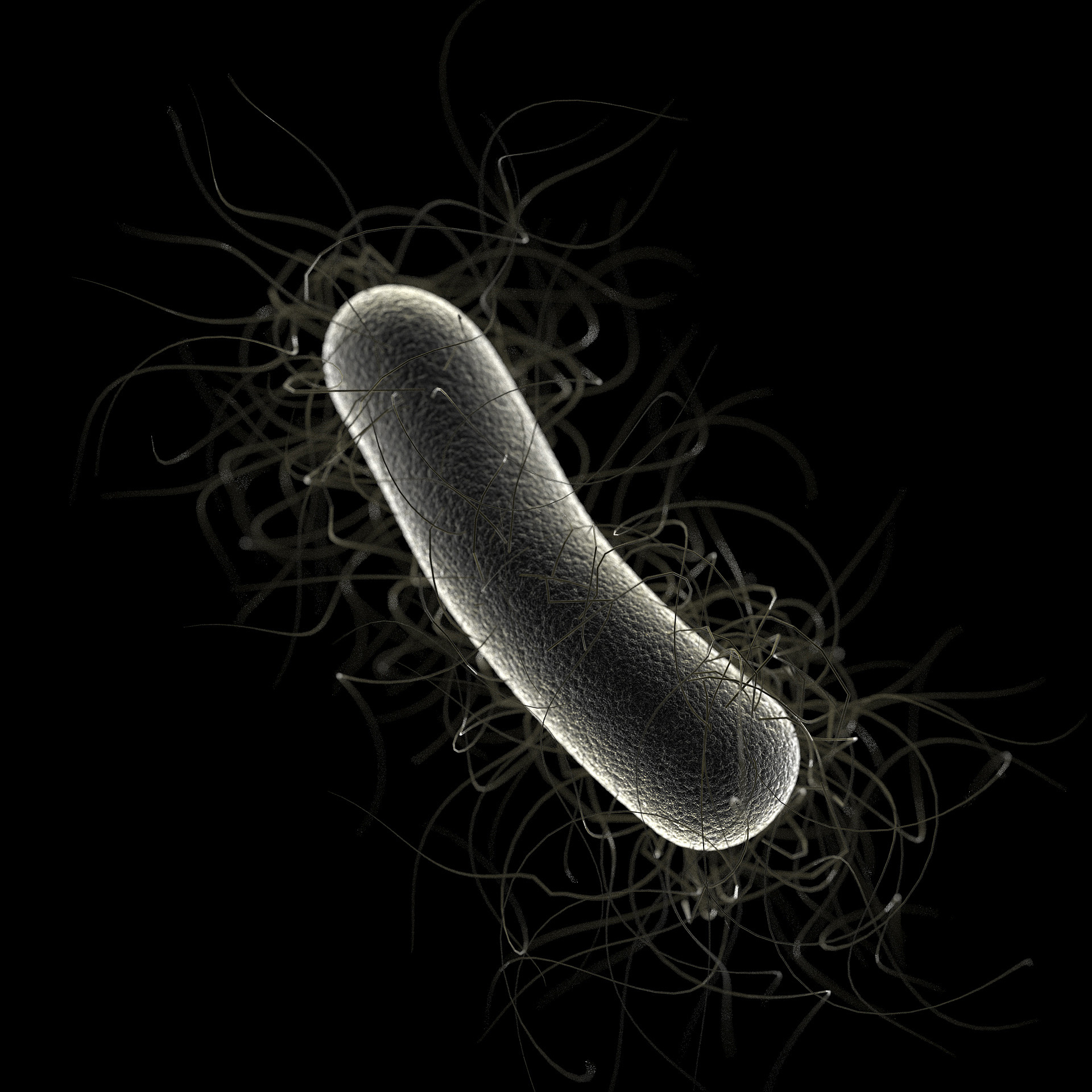 75 microbes micro bacteria cells model - TurboSquid 1626064