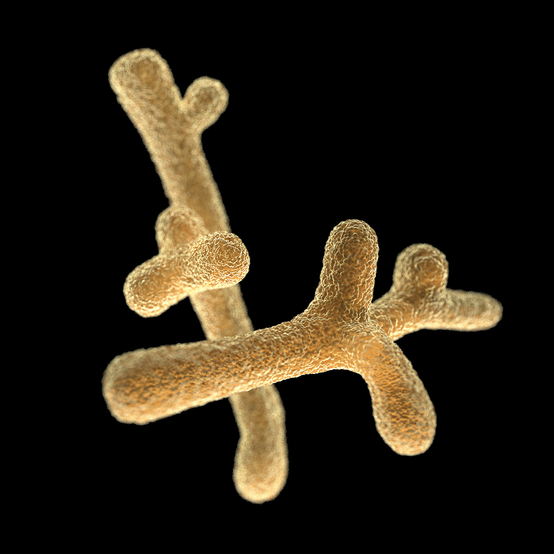 75 microbes micro bacteria cells model - TurboSquid 1626064