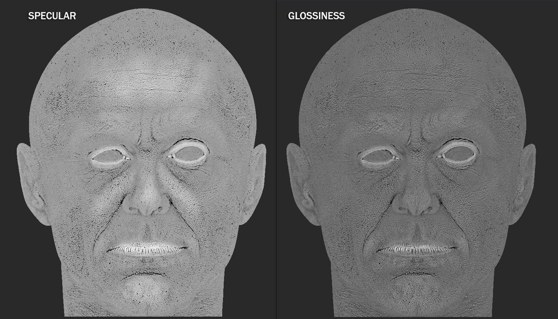 3D Model Project Head - TurboSquid 1355438