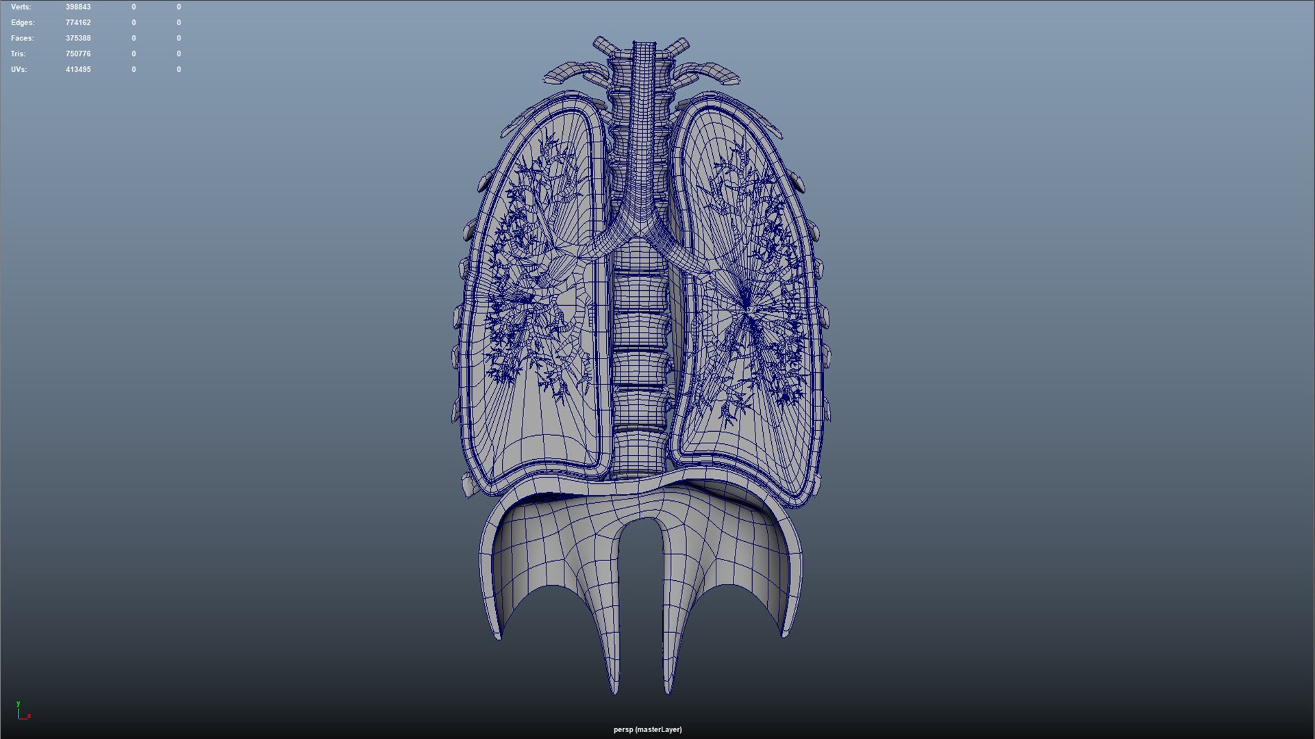 3D Lung Cross Section - TurboSquid 2189317