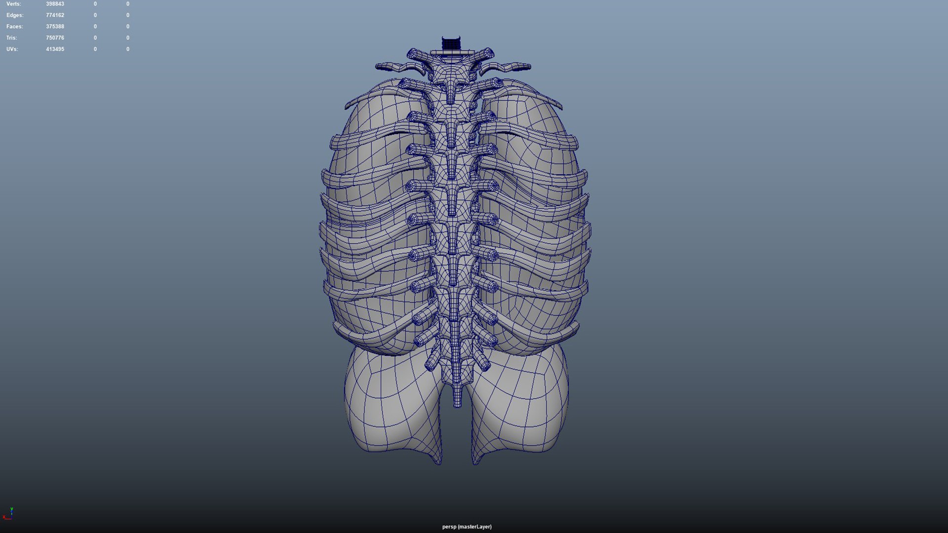 3D Lung Cross Section - TurboSquid 2189317