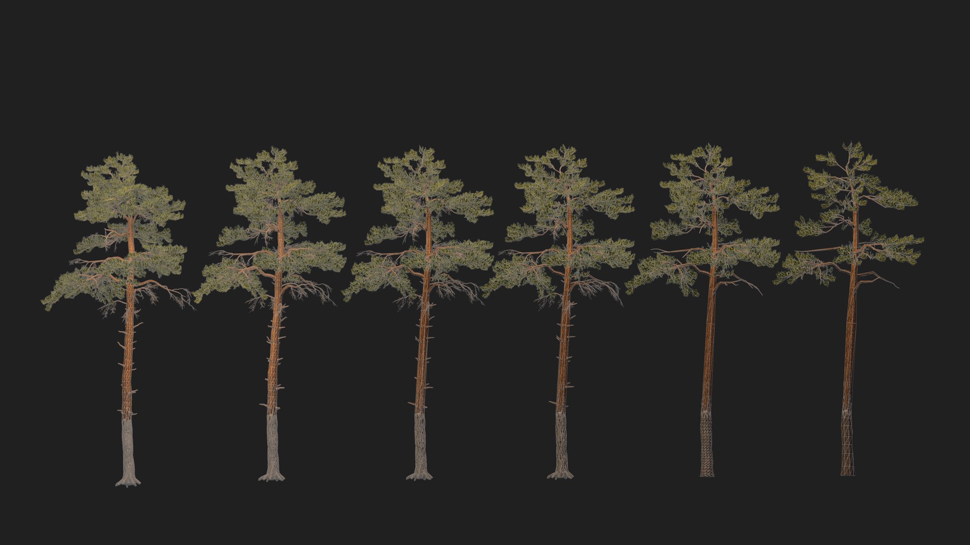 3D Pine Tree Model - TurboSquid 2352854