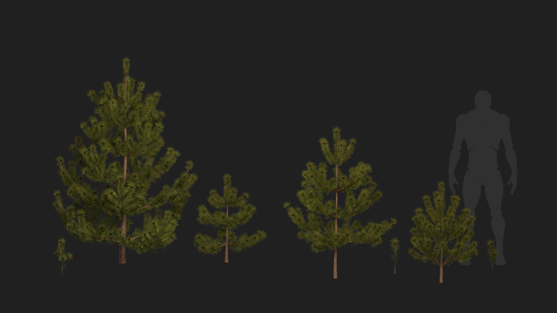 3D Pine Tree Model - TurboSquid 2352854