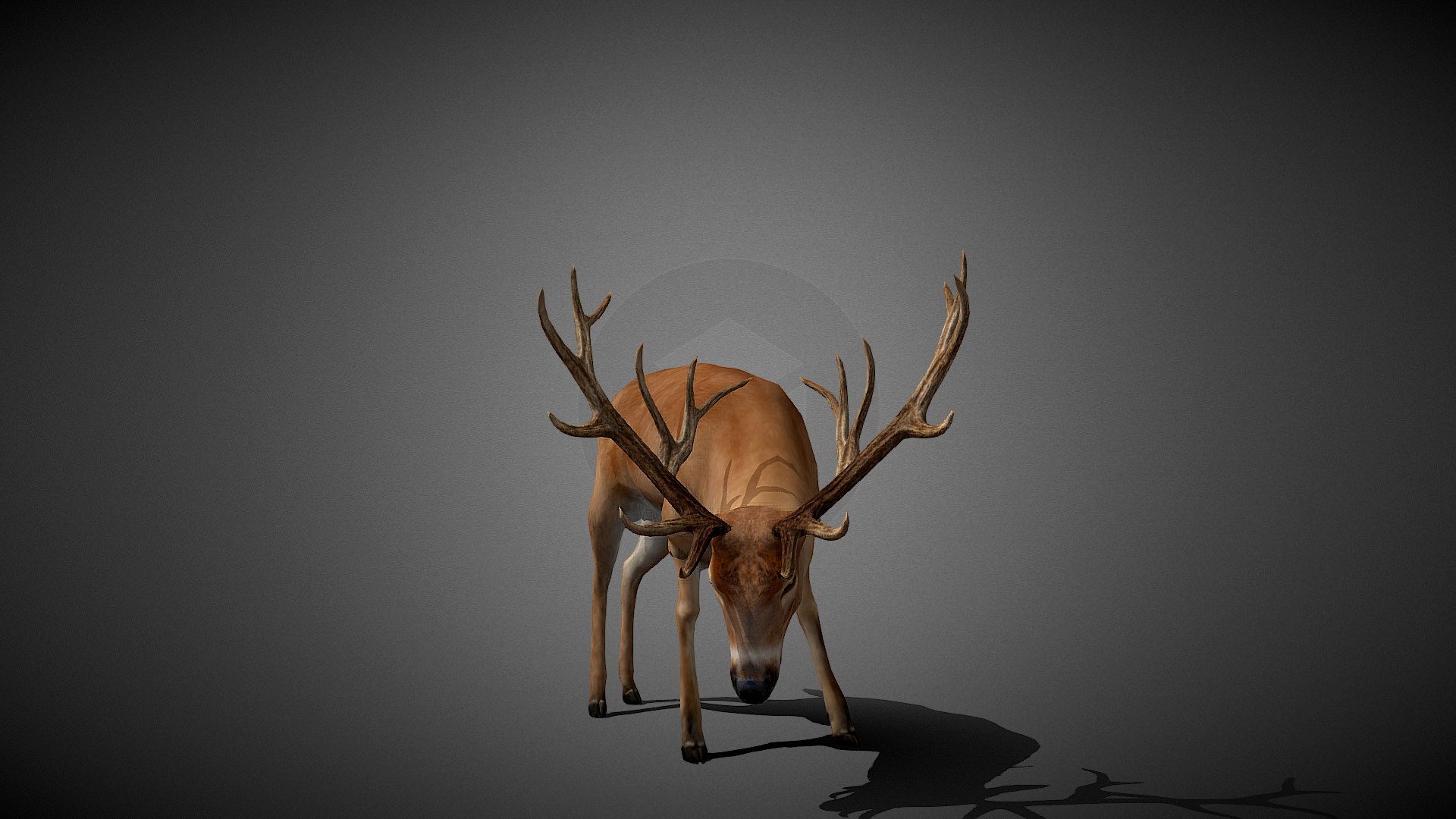 Realistic Animals PACK 3D Model - TurboSquid 2385851