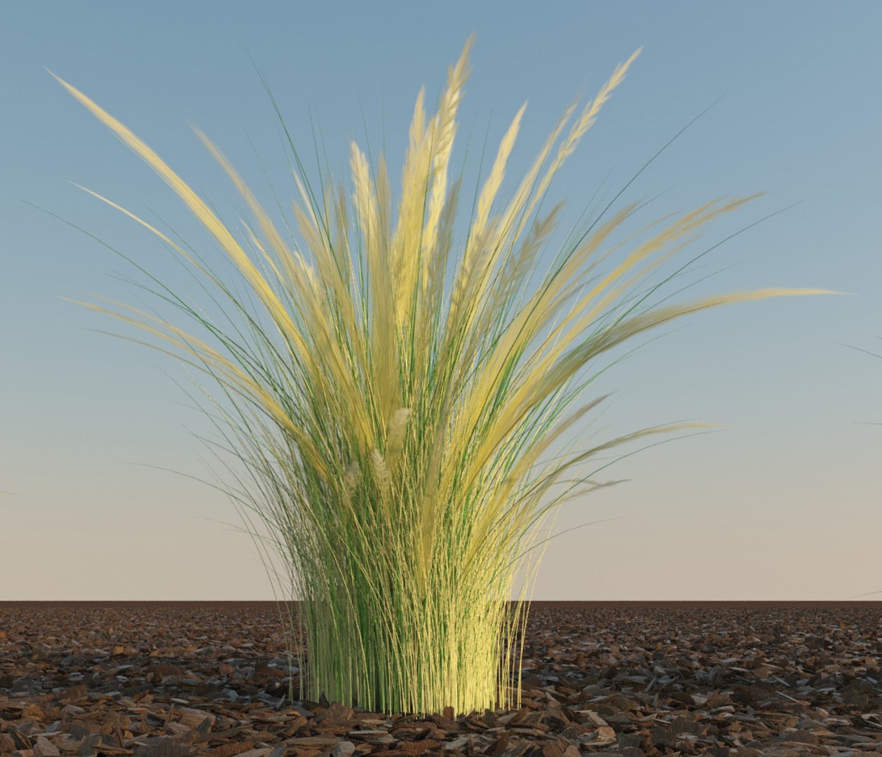 3D Model Mexican Feather Grass - TurboSquid 1264834