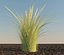 3D Model Mexican Feather Grass - TurboSquid 1264834