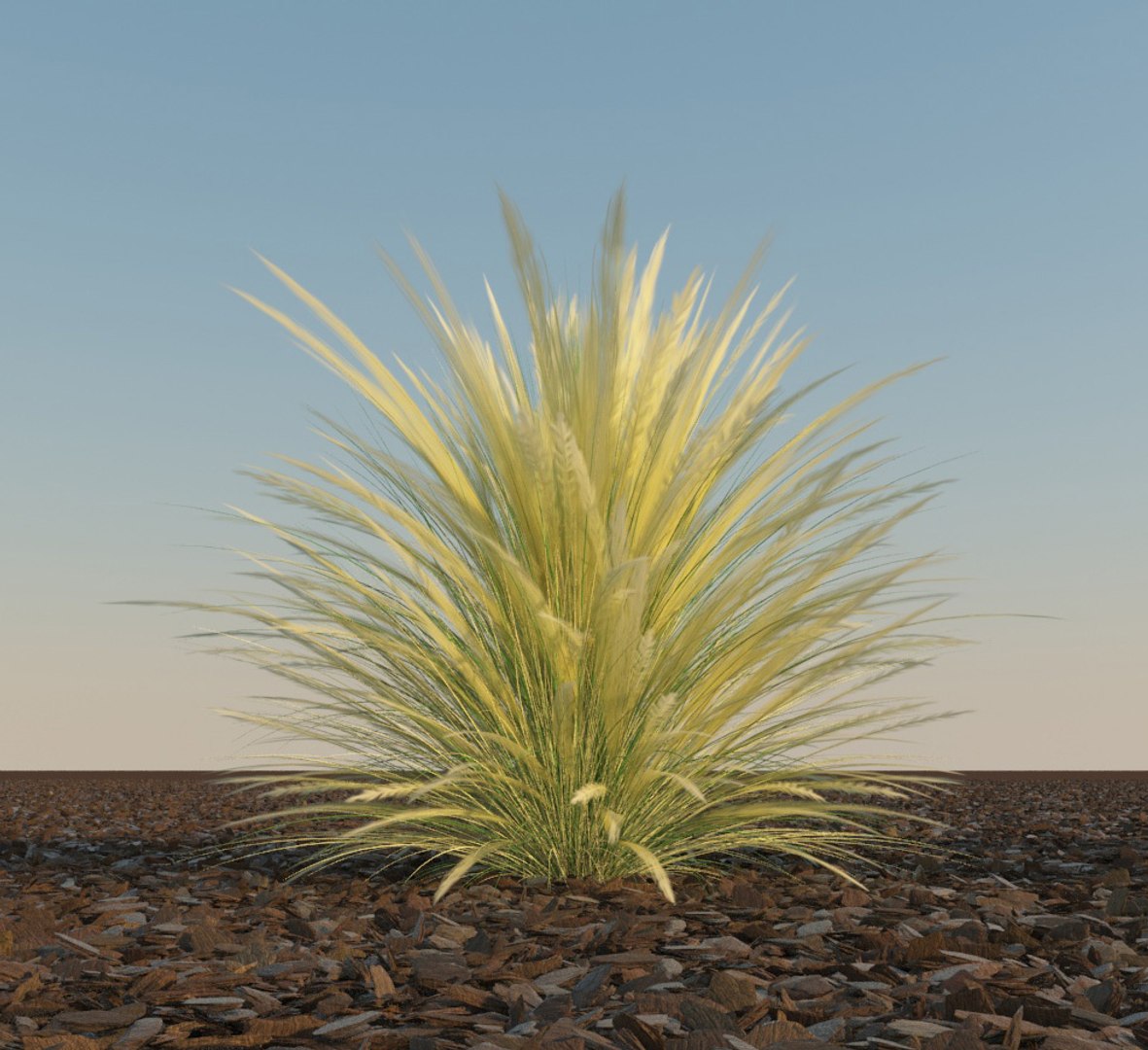 3D Model Mexican Feather Grass - TurboSquid 1264834