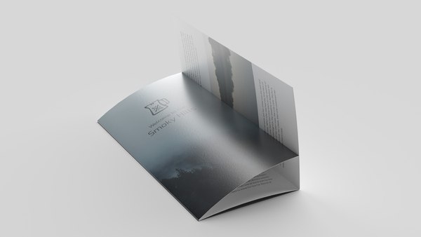 3D mockup folded leaflet brochure - TurboSquid 1586064