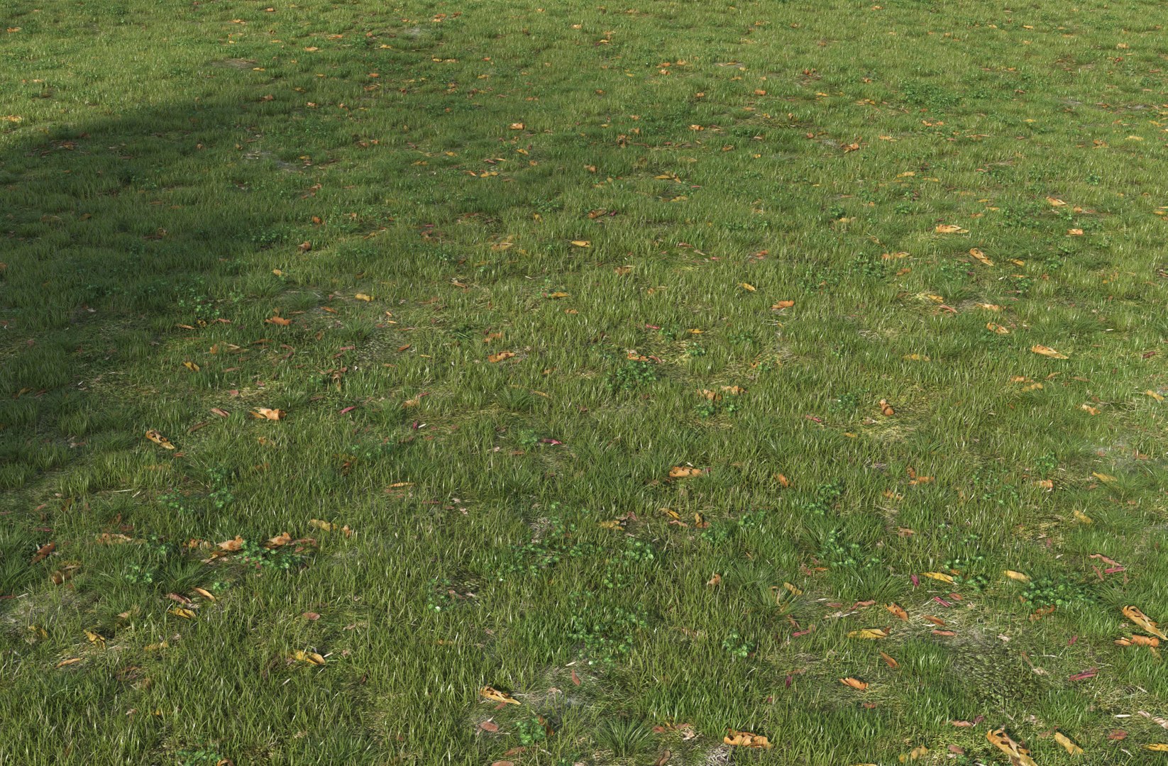 3D Grass Field Model - TurboSquid 1362245