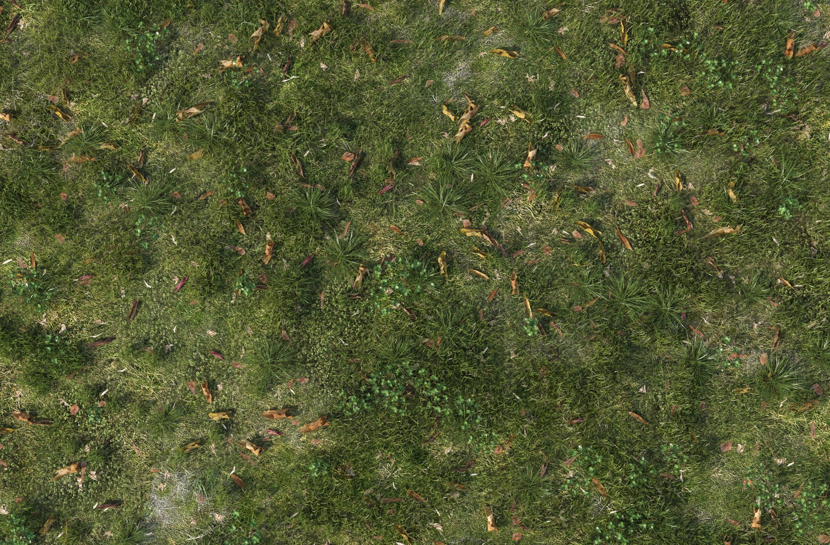 3D Grass Field Model - TurboSquid 1362245