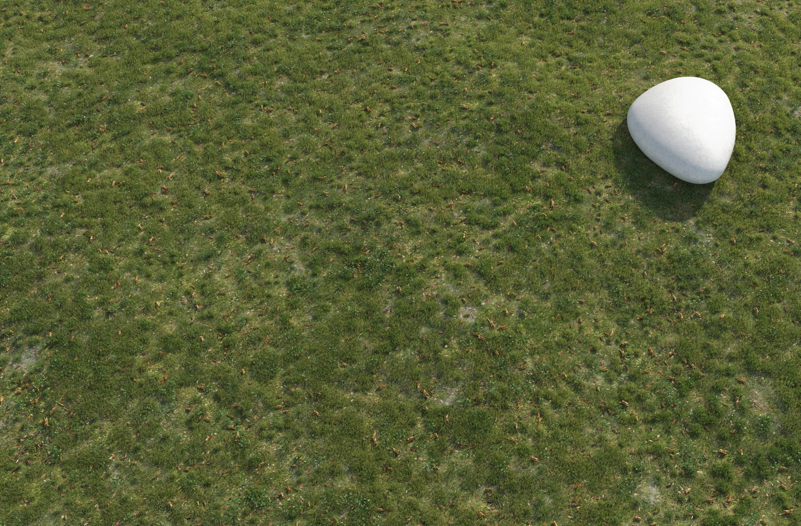 3D Grass Field Model - TurboSquid 1362245