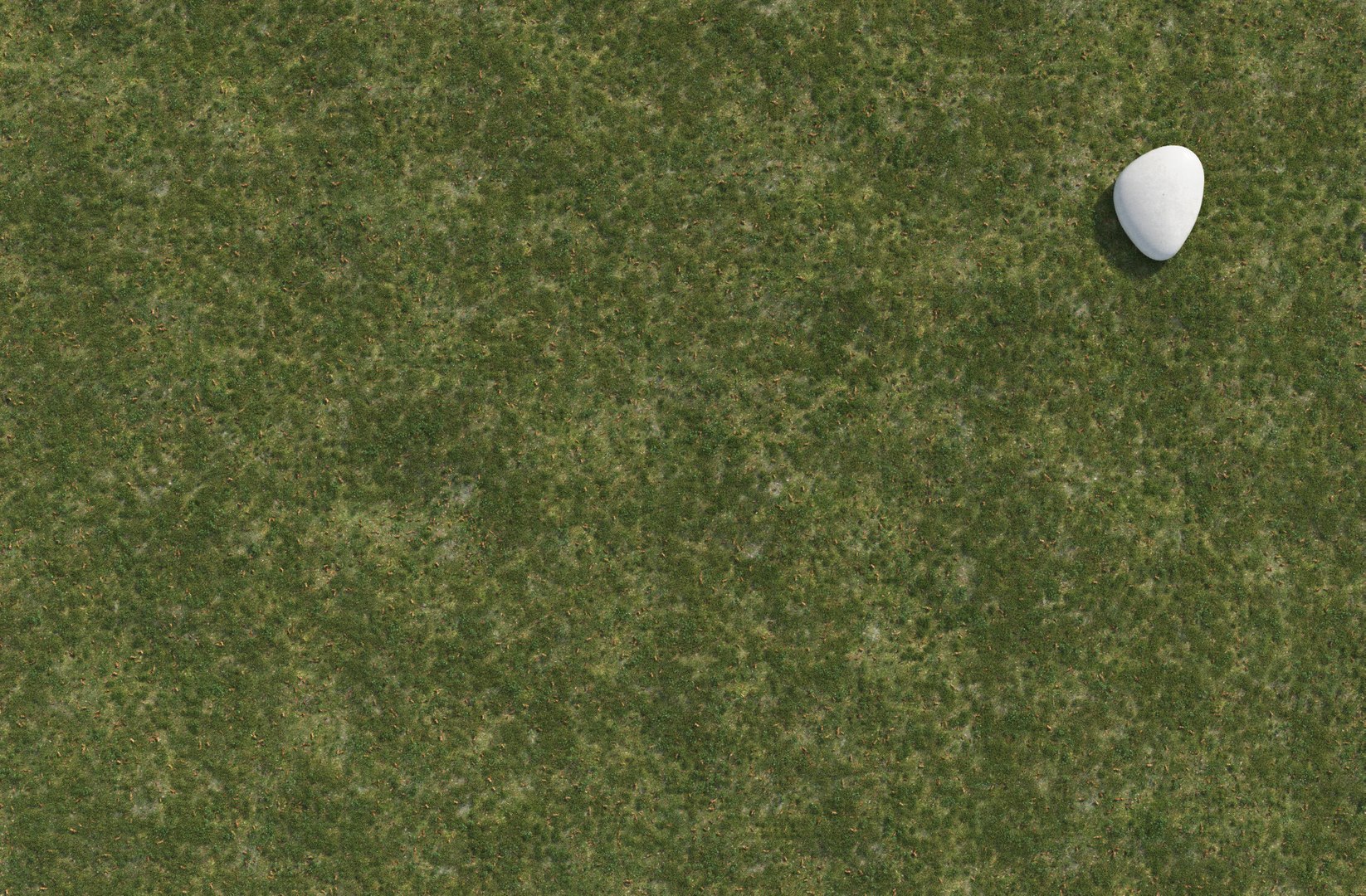 3D Grass Field Model - TurboSquid 1362245