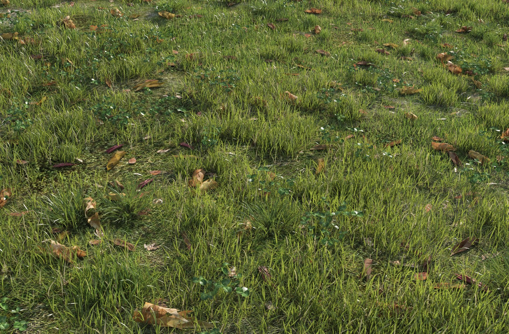3D Grass Field Model - TurboSquid 1362245