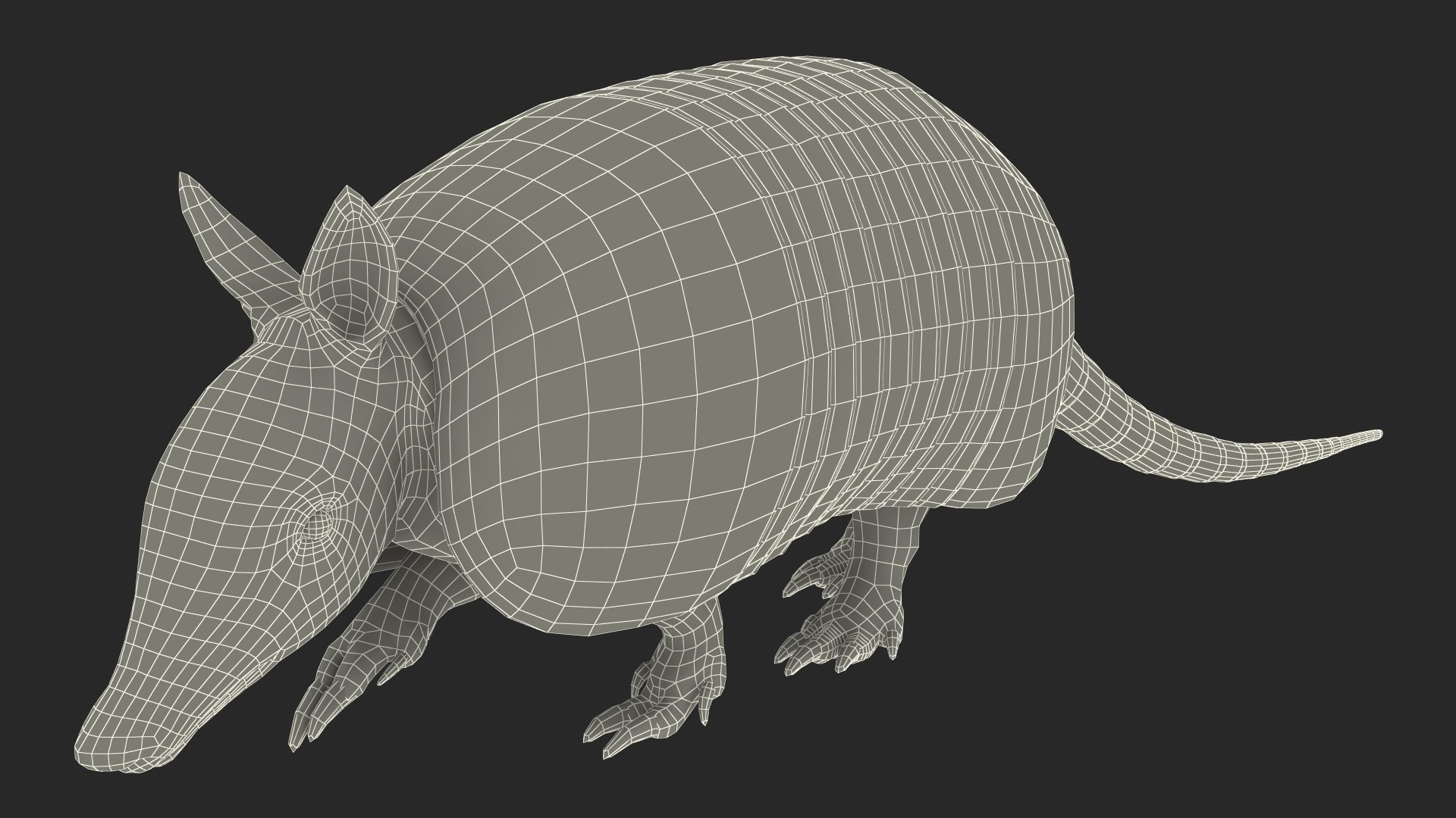 3D Armadillo In Walking Pose Black - TurboSquid 2248085