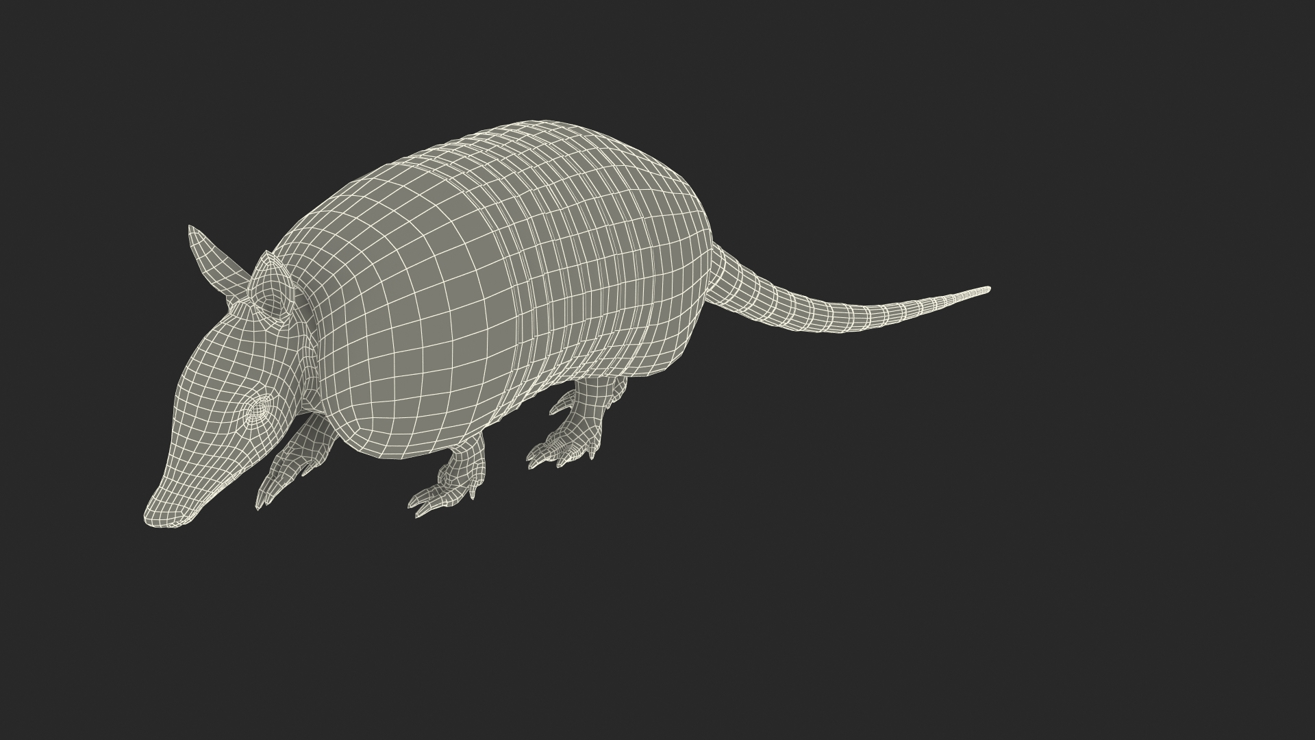 3D Armadillo In Walking Pose Black - TurboSquid 2248085