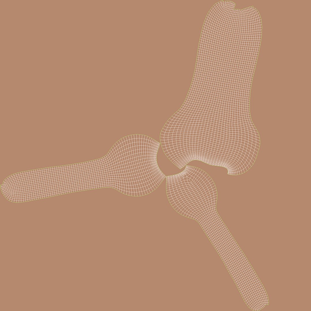 Glomerulus 3D Model - TurboSquid 2090663