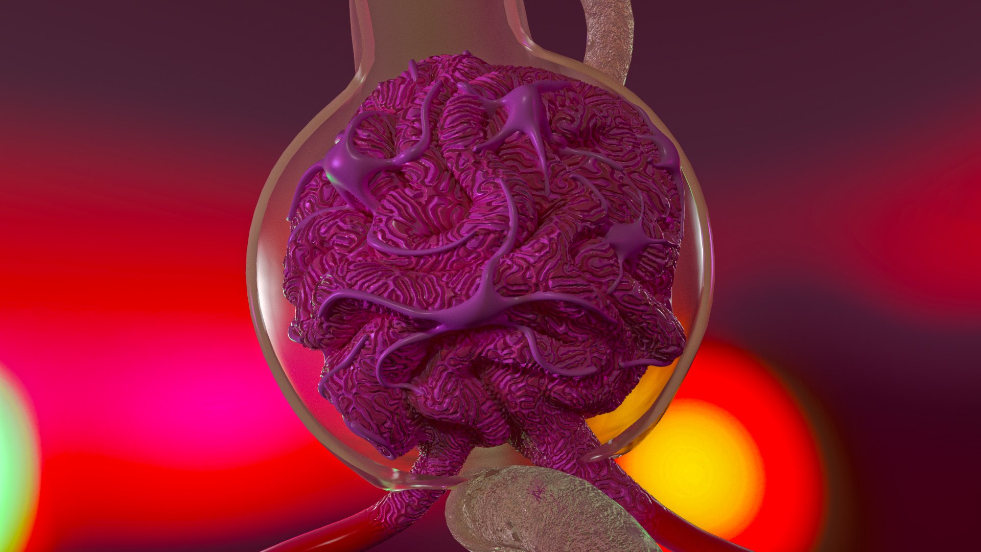 Glomerulus 3D Model - TurboSquid 2090663
