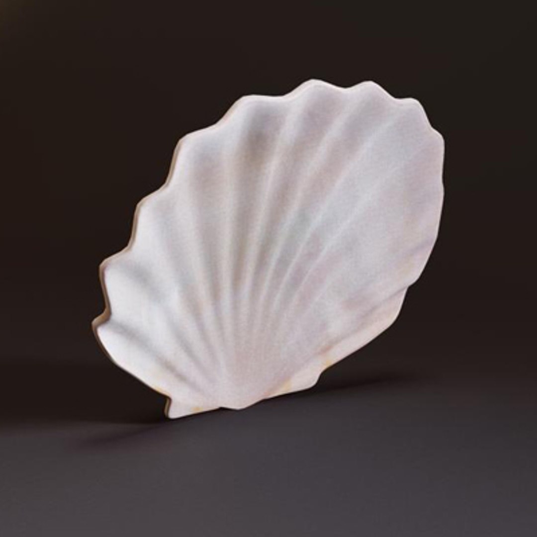 3d Seashell Sea Model