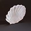 3d Seashell Sea Model