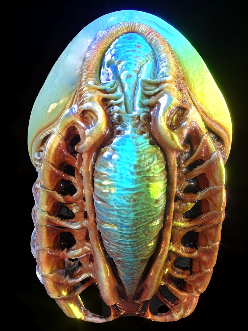Alien Eggs Life Form Pack 3D Model - TurboSquid 2171493