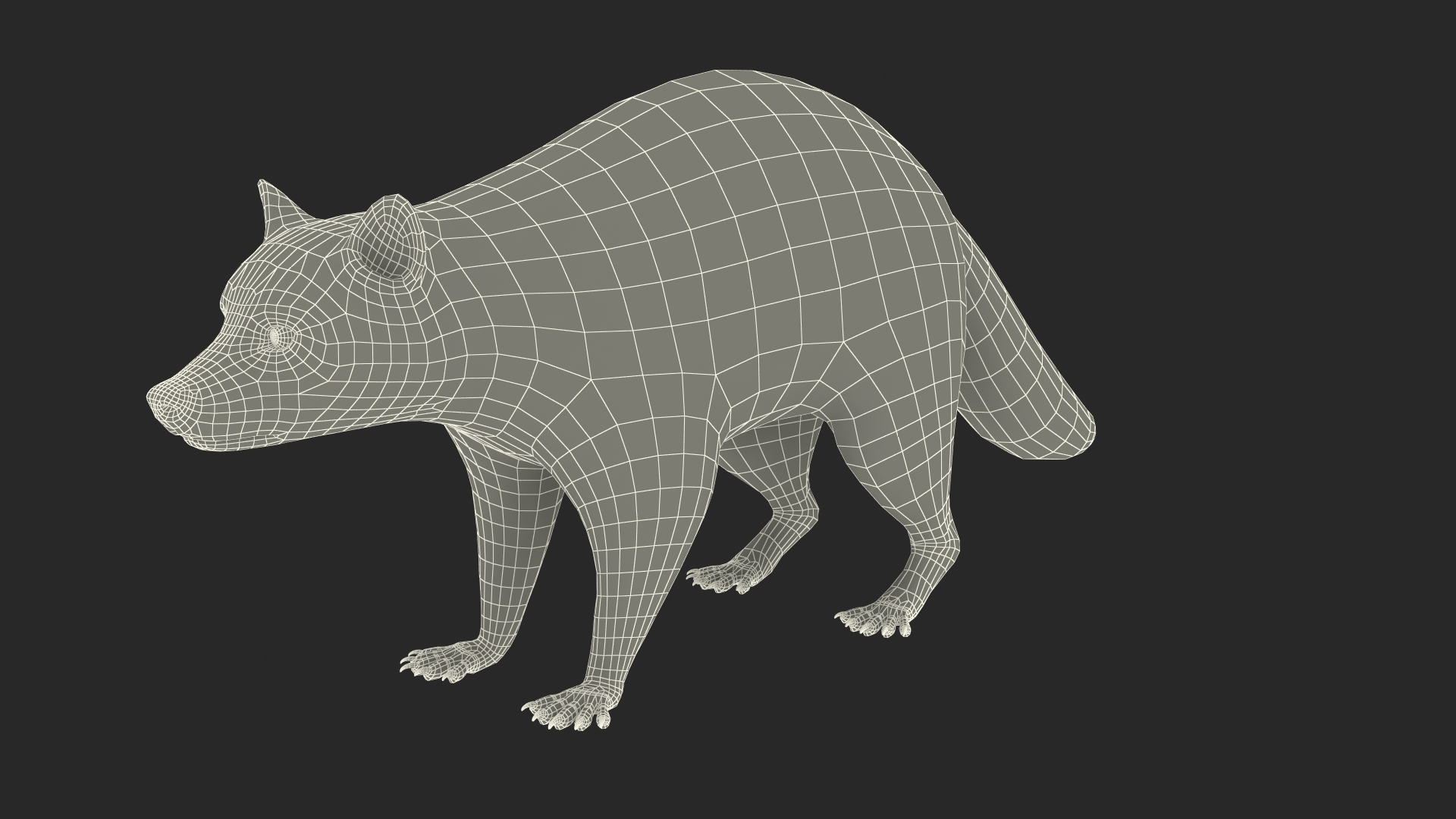 Raccoon Rigged 3D Model - TurboSquid 1872818