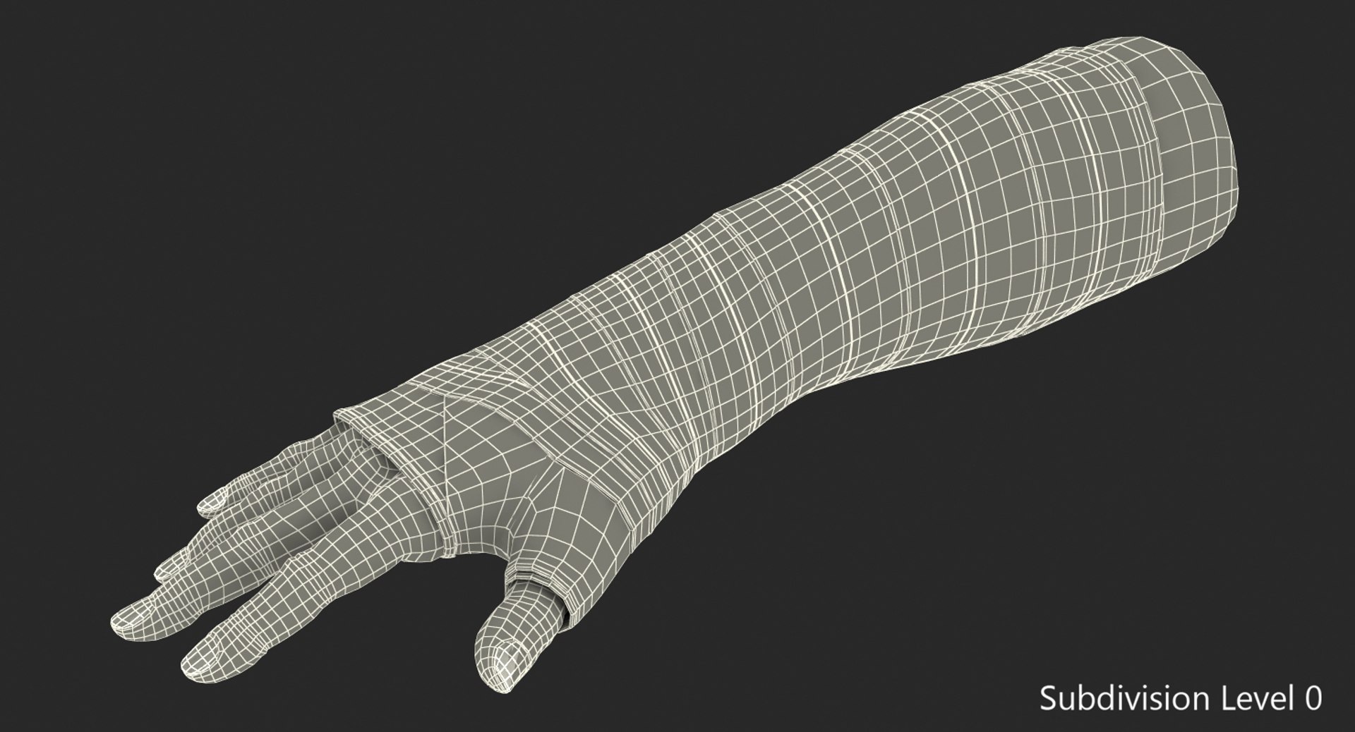 Fiberglass Cast Wrist Model - TurboSquid 1230113