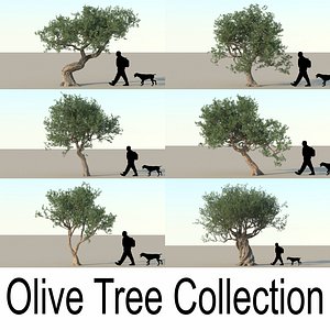 olive tree 3d max