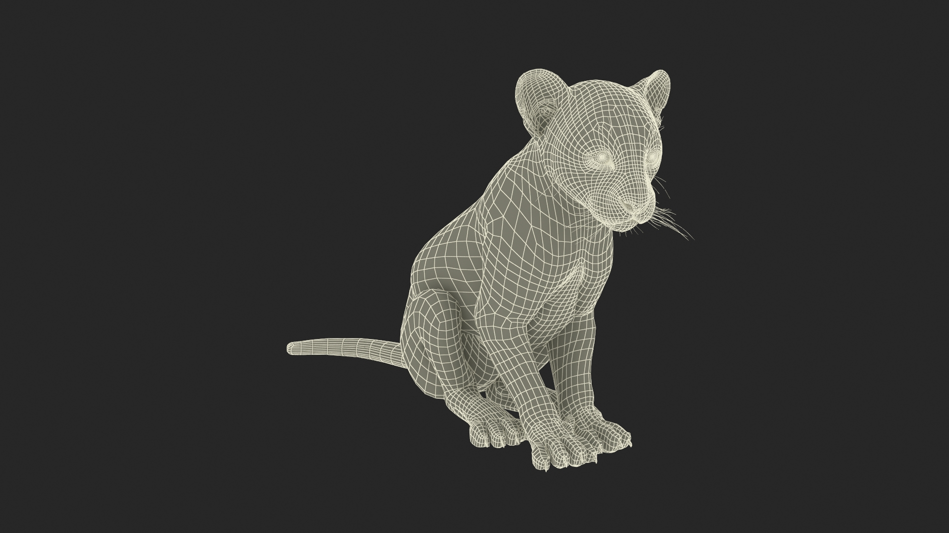 Black Leopard Cub Sitting Pose With Fur 3D - TurboSquid 2342326