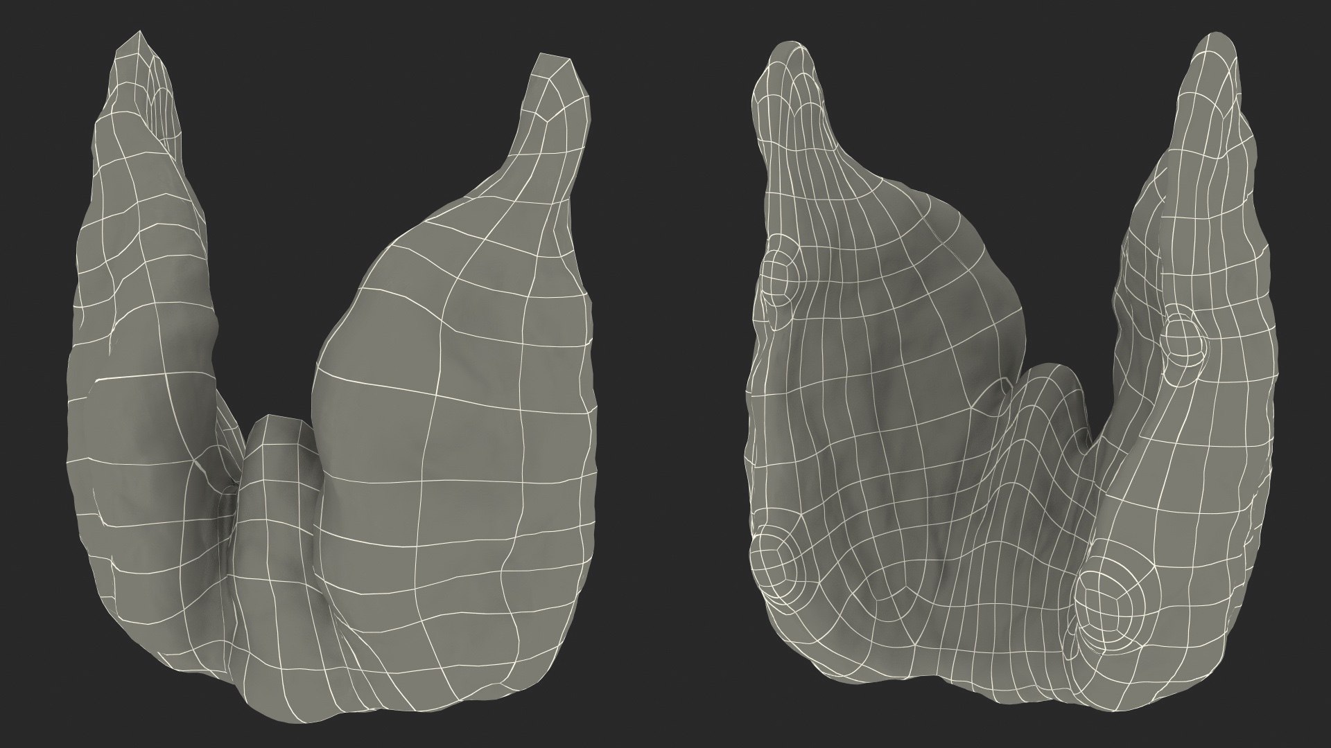 Human Thyroid 3D Model - TurboSquid 1459206