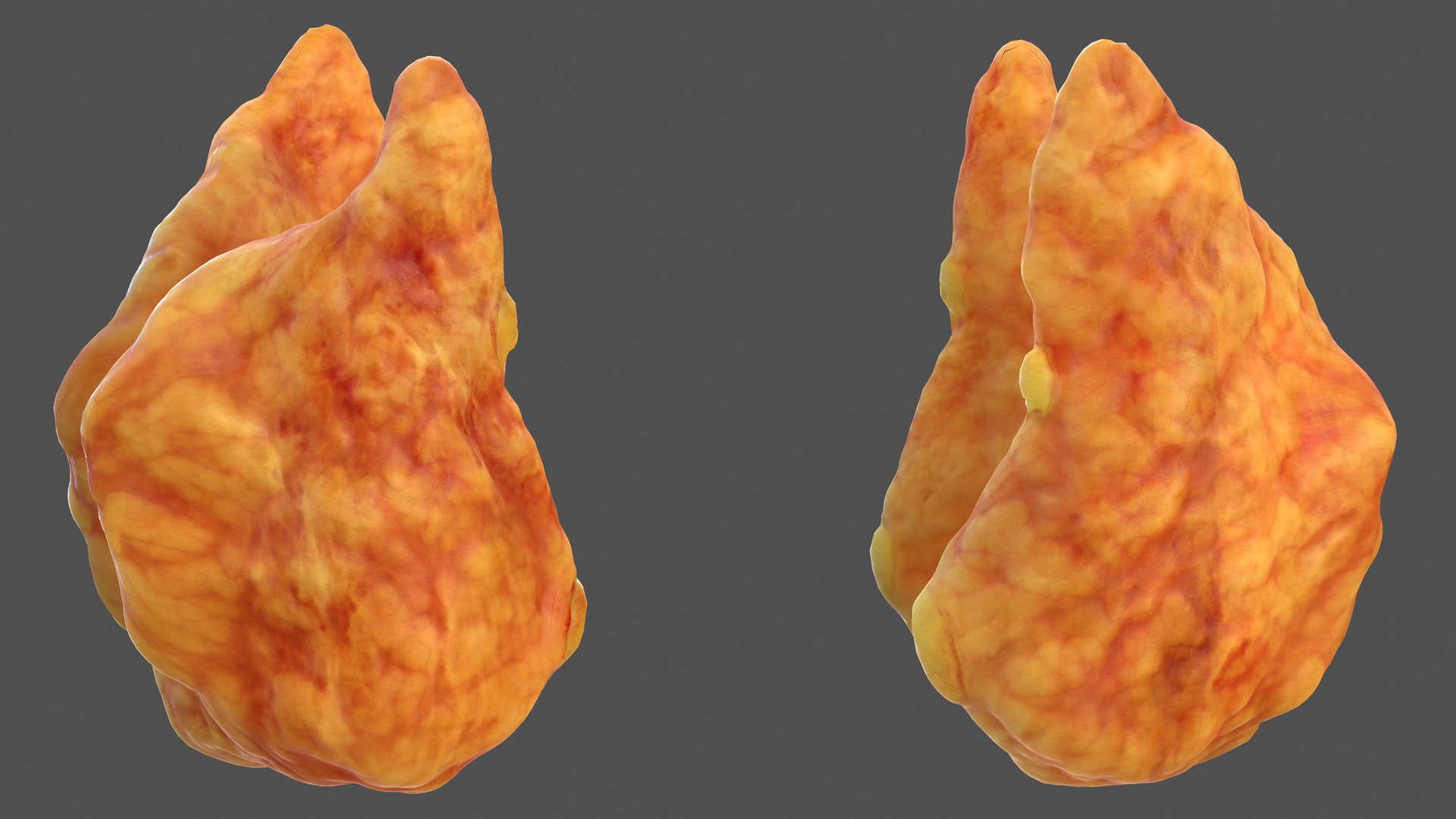 Human Thyroid 3D Model - TurboSquid 1459206