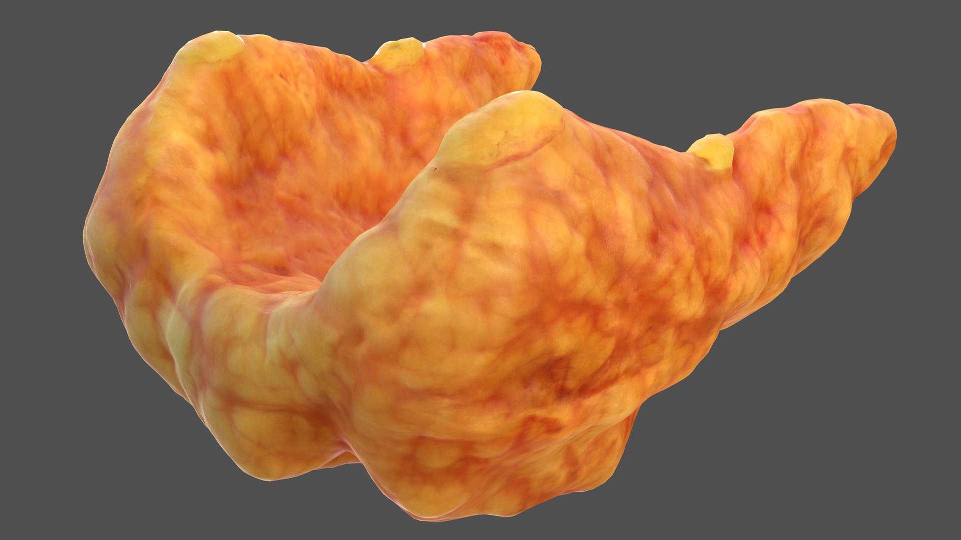 Human Thyroid 3D Model - TurboSquid 1459206