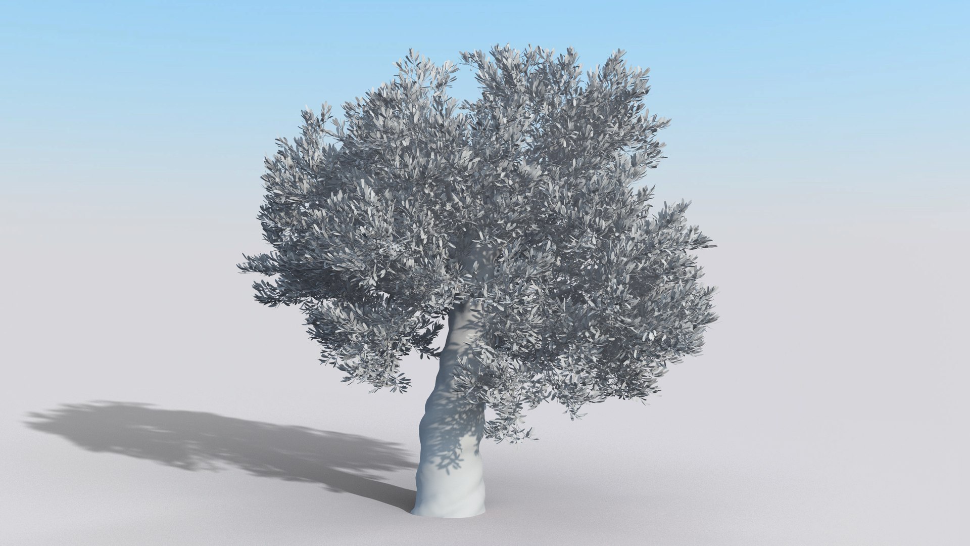 3D Olive Tree - TurboSquid 1531295
