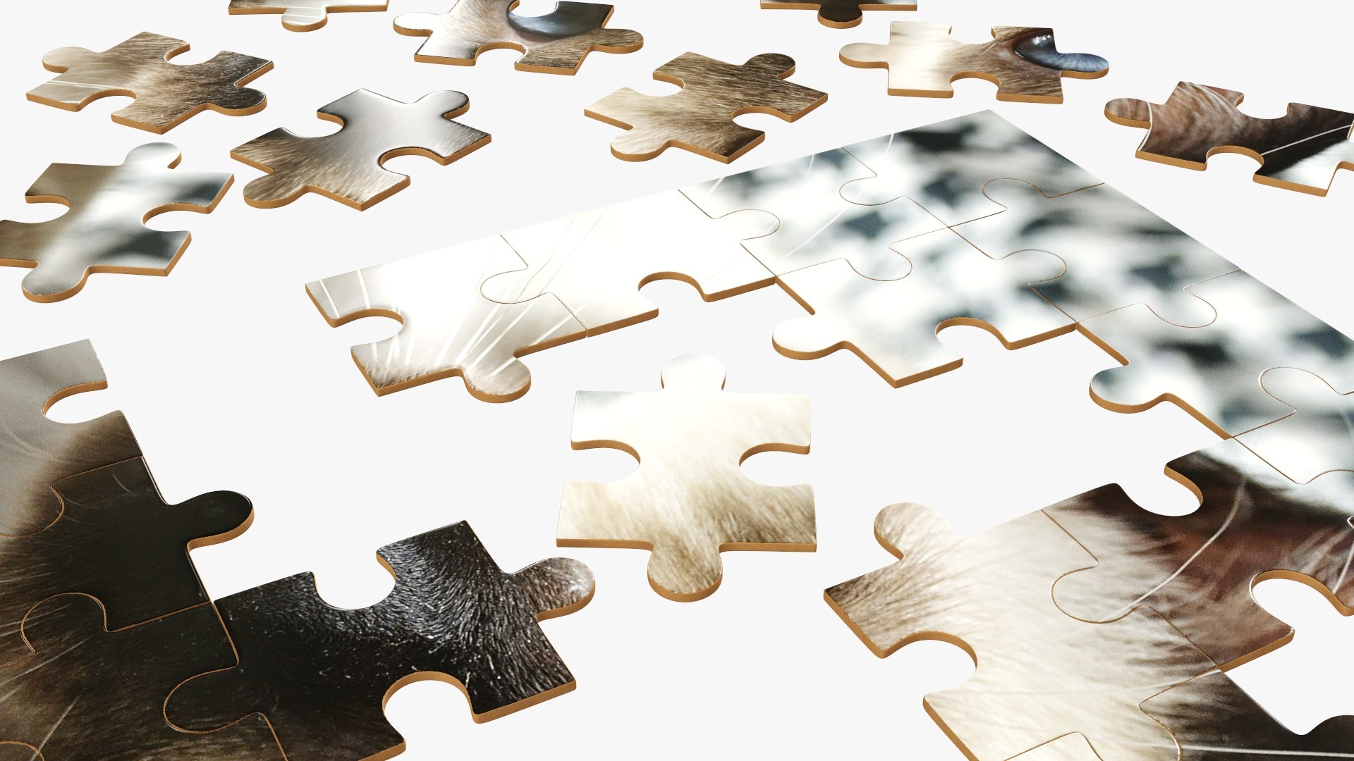 Jigsaw Puzzle Piece 3D Model - TurboSquid 1658373