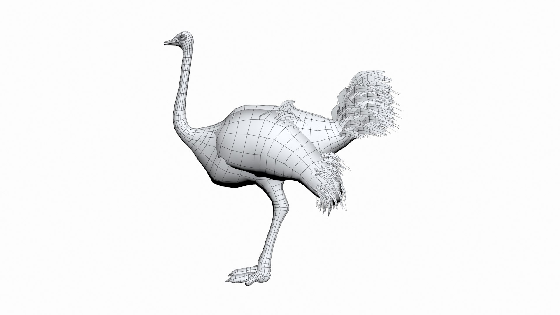Ostrich 3D - TurboSquid 1607967