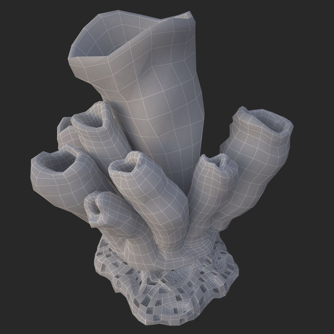3D Coral Tube V2 Model - TurboSquid 1241897