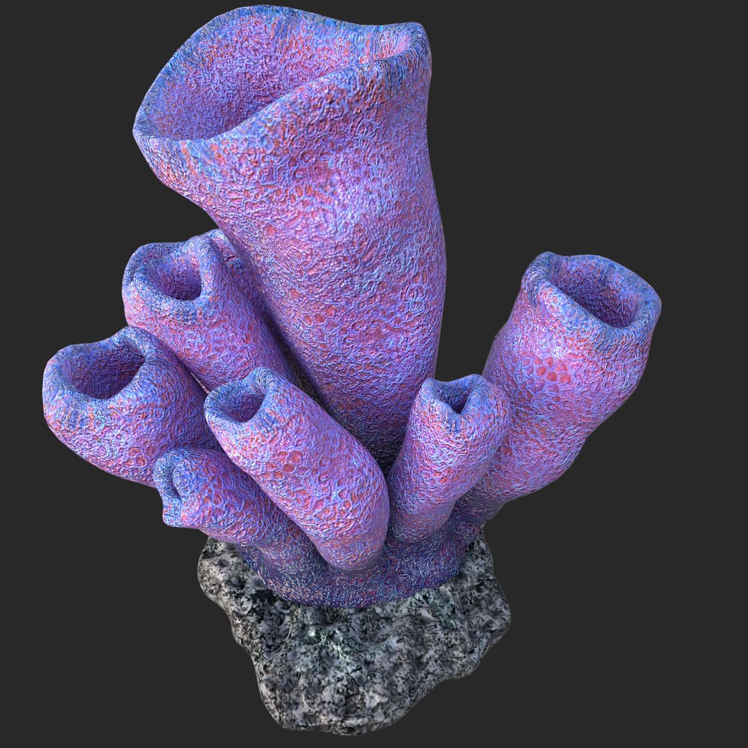 3D Coral Tube V2 Model - TurboSquid 1241897