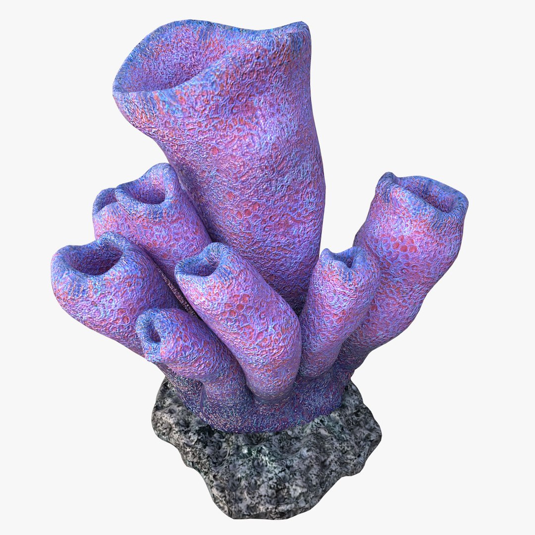3D coral tube v2 model - TurboSquid 1241897