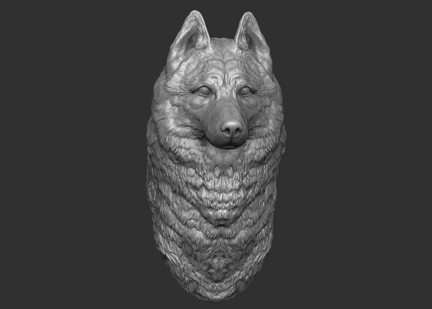 Husky Head Realistic Model - TurboSquid 1290526