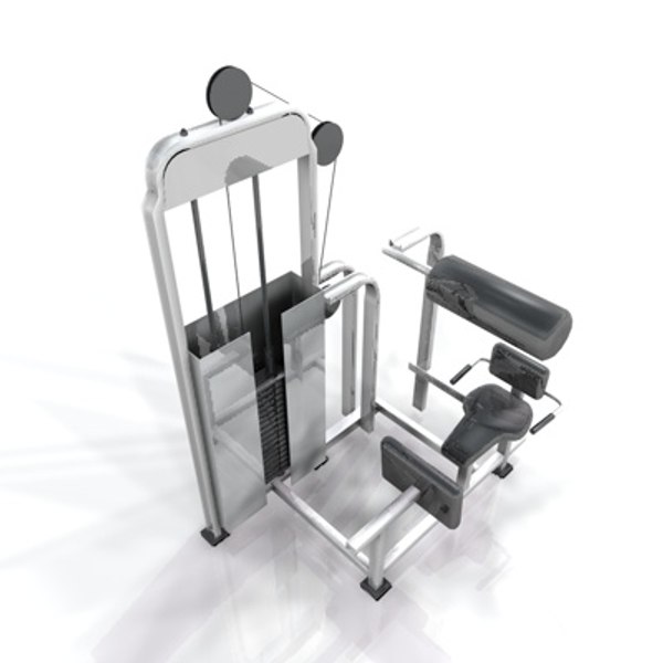 weight training 3d model