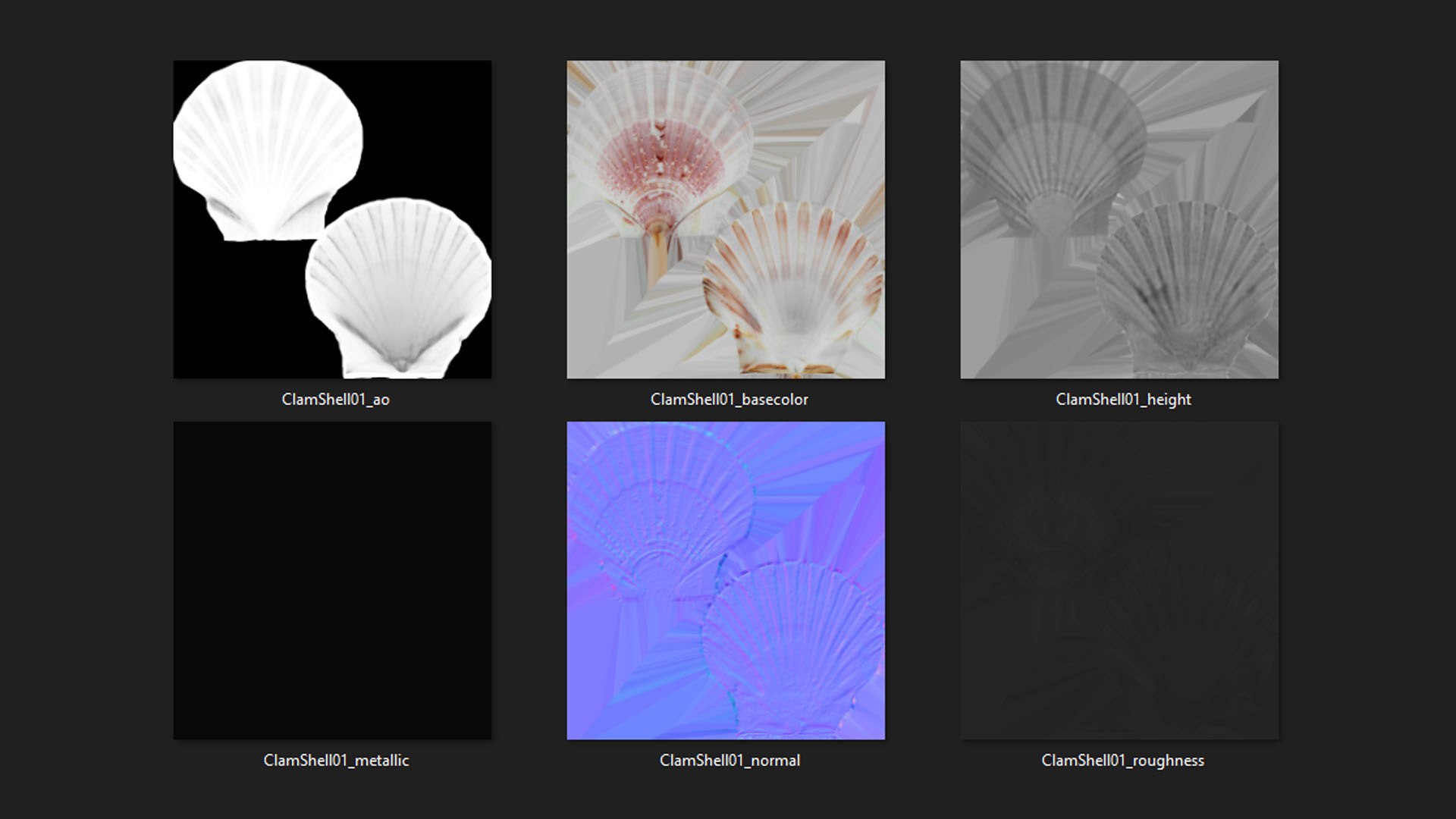 Clam Shell 01 3D Model - TurboSquid 2227622