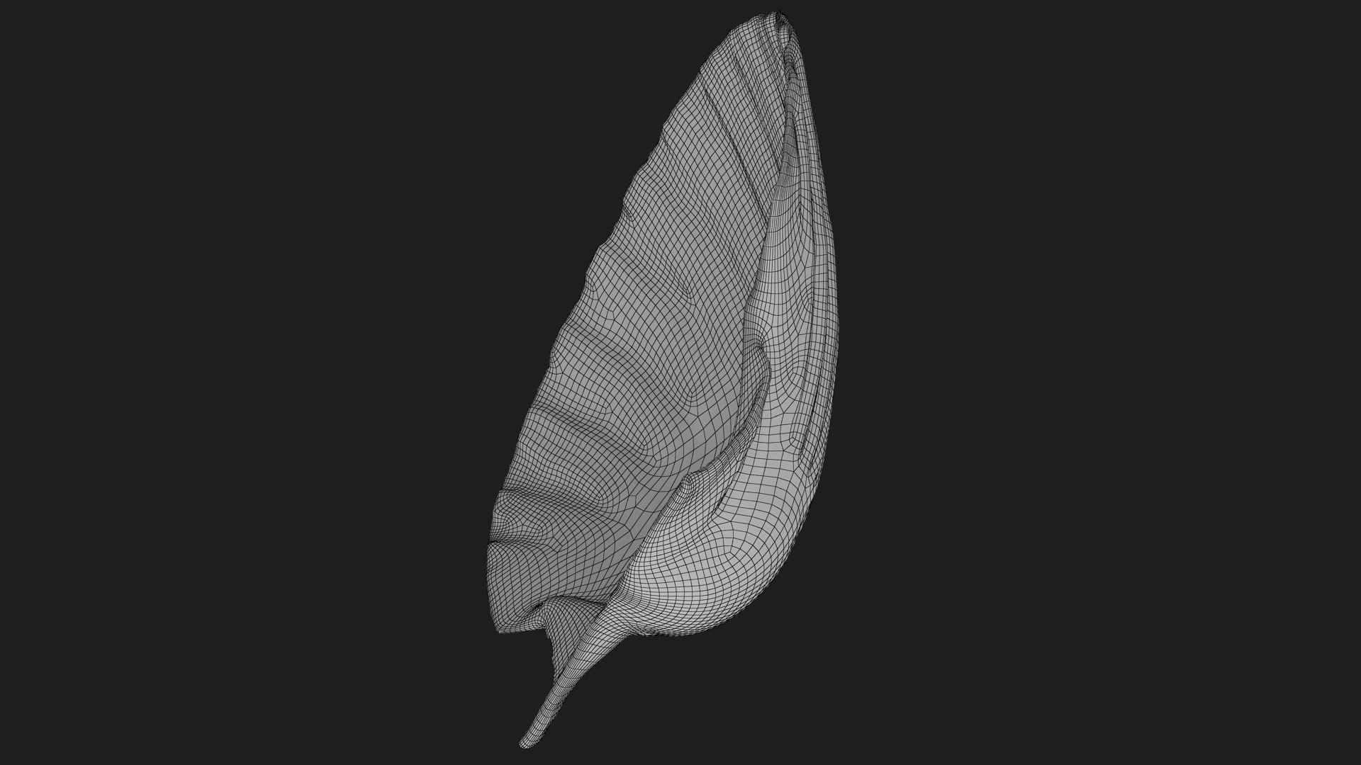 Clam Shell 01 3D Model - TurboSquid 2227622