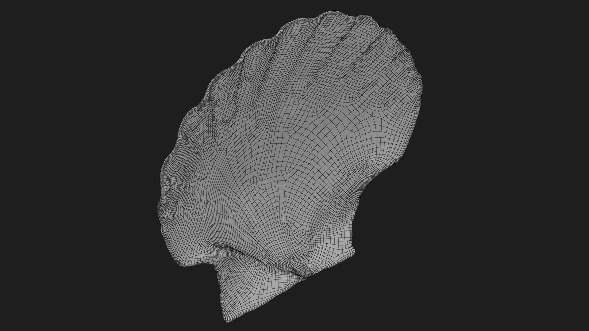Clam Shell 01 3D Model - TurboSquid 2227622