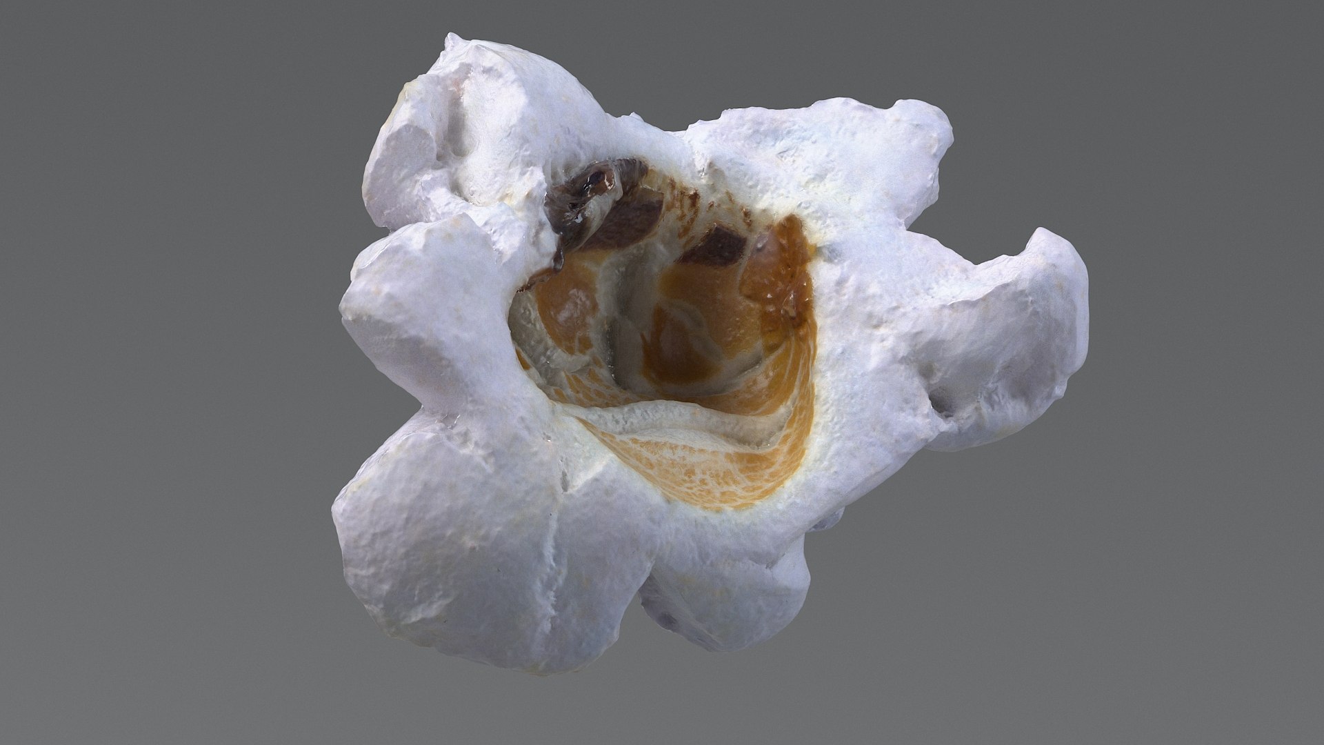 3D Realistic Popcorn 05 Model - TurboSquid 1824242