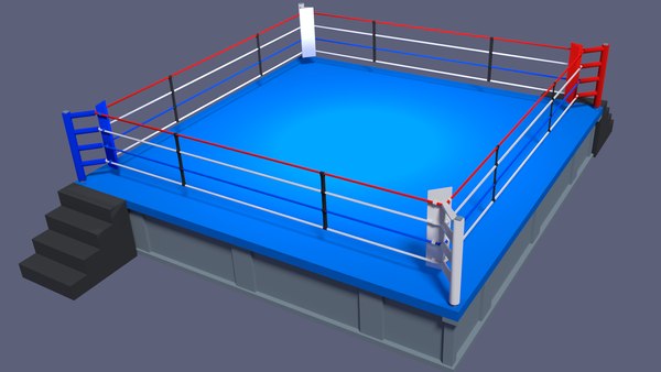 3d ring boxe