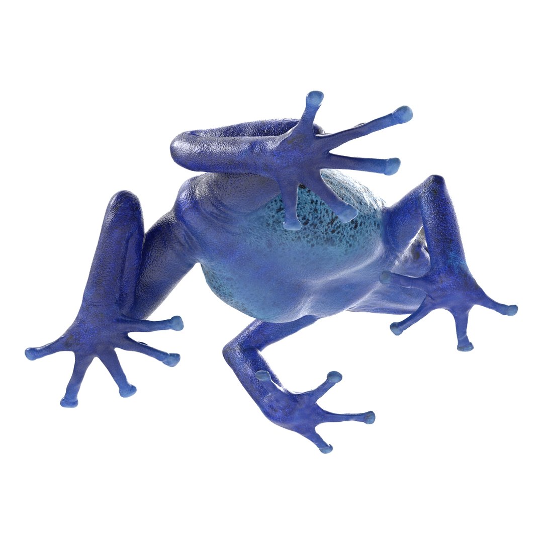 poison dart frog rigged ma