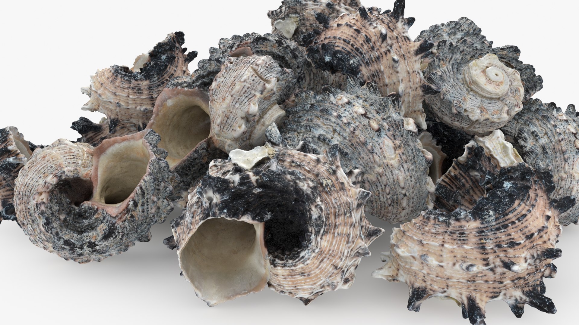 Angaria Delphinus Pile Model - TurboSquid 2214463